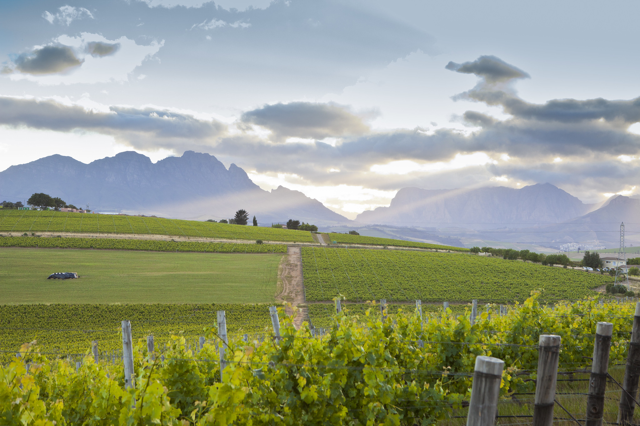 Månadens Vinhus: Hartenberg Wine Estate - DinVinguide Månadens Vin